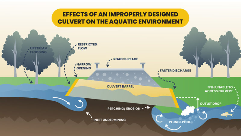 Design Considerations for Natural Bottom Culverts - InfraSteel®
